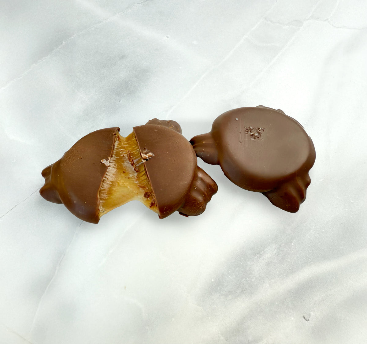 Turtlettes | Stick With Me Sweets